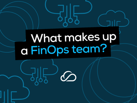 What Makes Up a FinOps Team? - FinOps Oversight